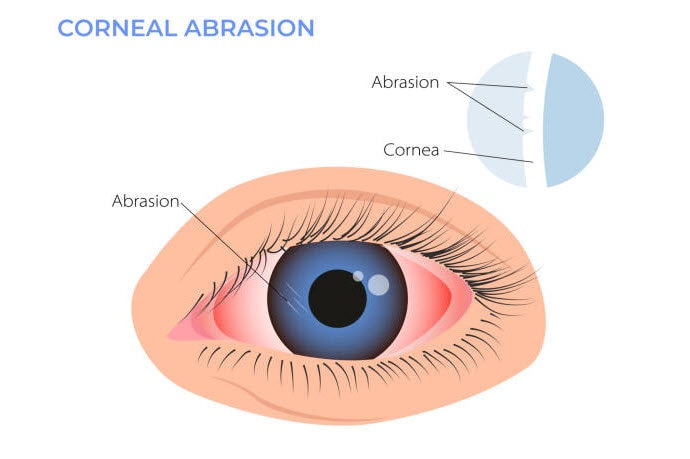 BENEFEDS | Federal Benefits Enrollment (FEDVIP, FSAFEDS, FLTCIP)